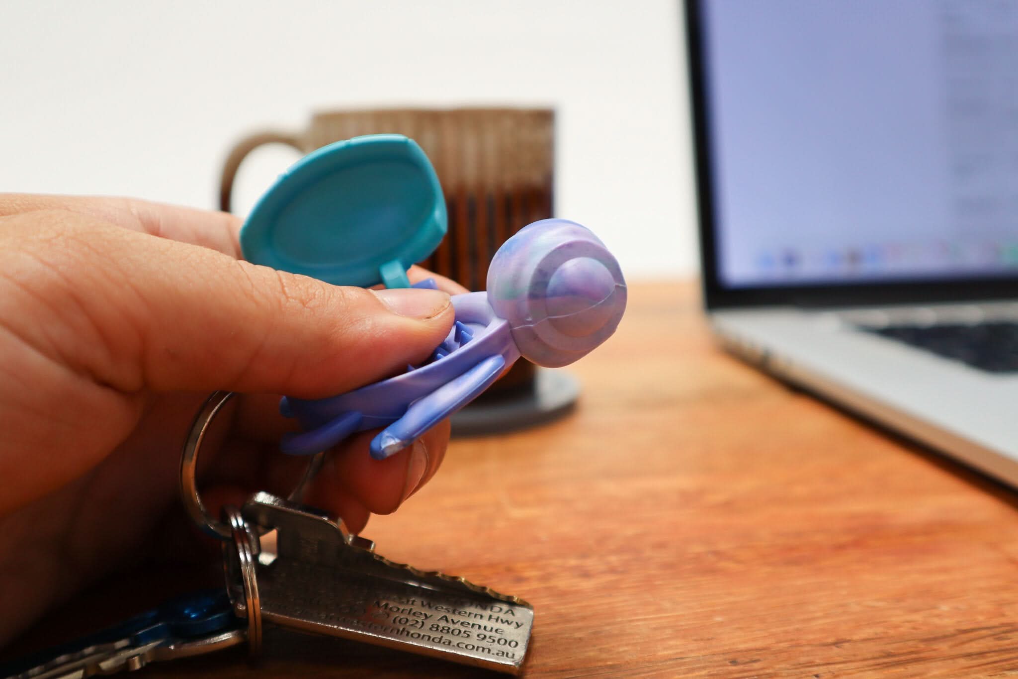 Calm Buddi Turtle Harm Minimisation Tool on Custom Kaiko Keyring — My ...