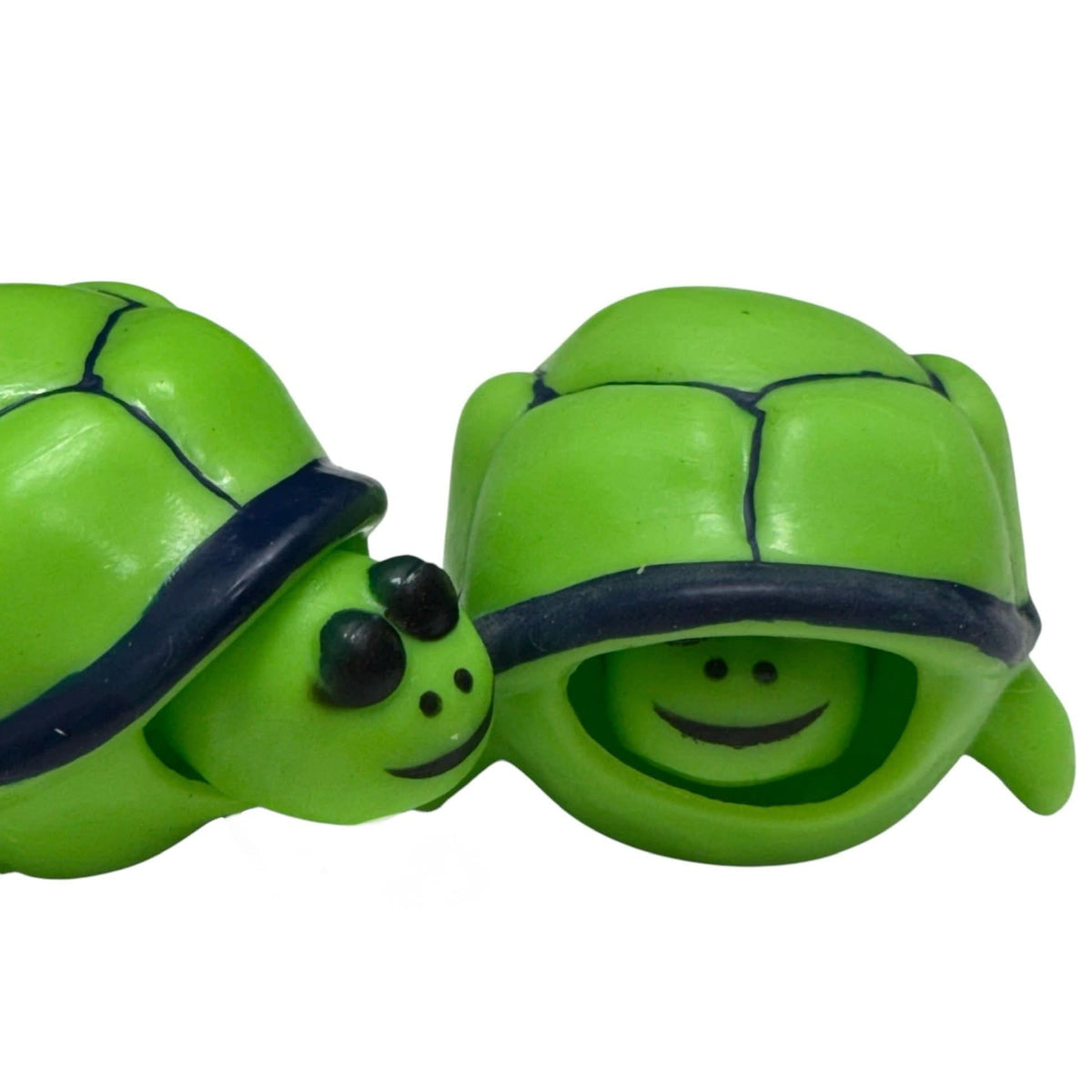 Tucker the Pop Head Turtle — My Sensory Store